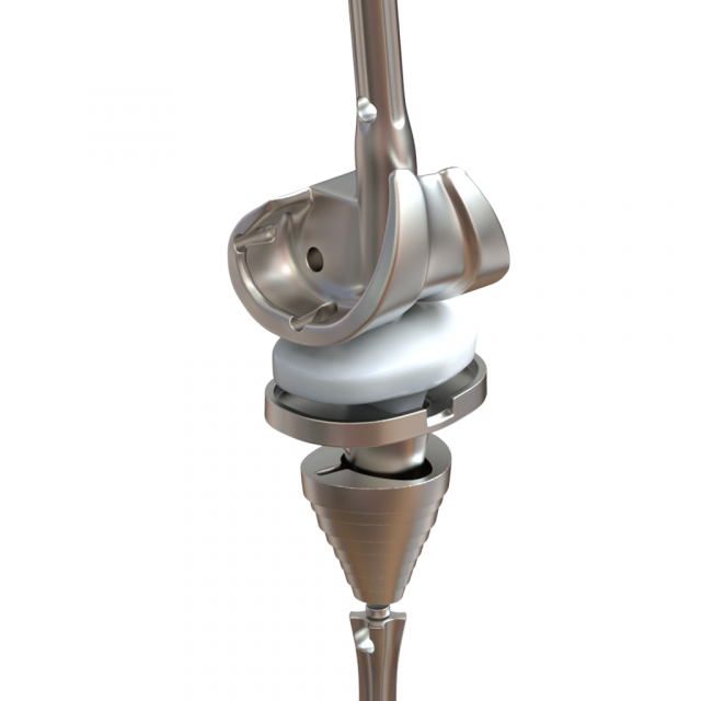 Knee Replacement Implant 3D Model in Anatomy 3DExport