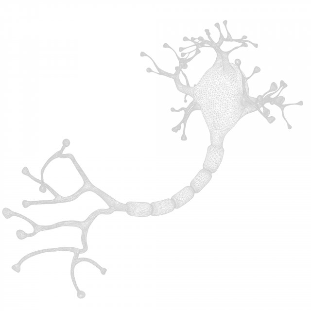 Neuron Human 3D Model in Anatomy 3DExport
