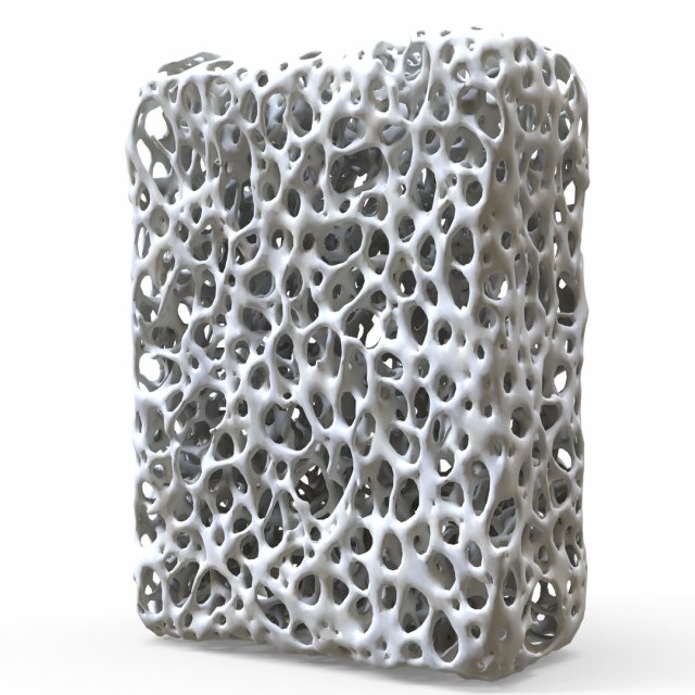 Bone Structure Sponge 3D Model in Anatomy 3DExport