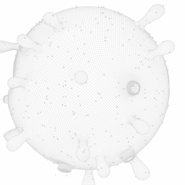 Animal Cell 3D Model in Anatomy 3DExport