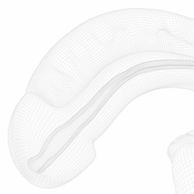 Male Reproductive System 3D Model in Anatomy 3DExport