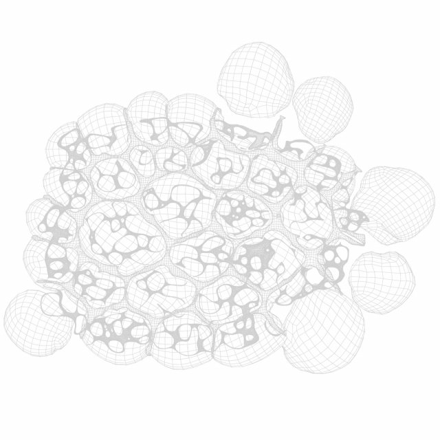 Fat Cell Anatomy 3D Model in Anatomy 3DExport