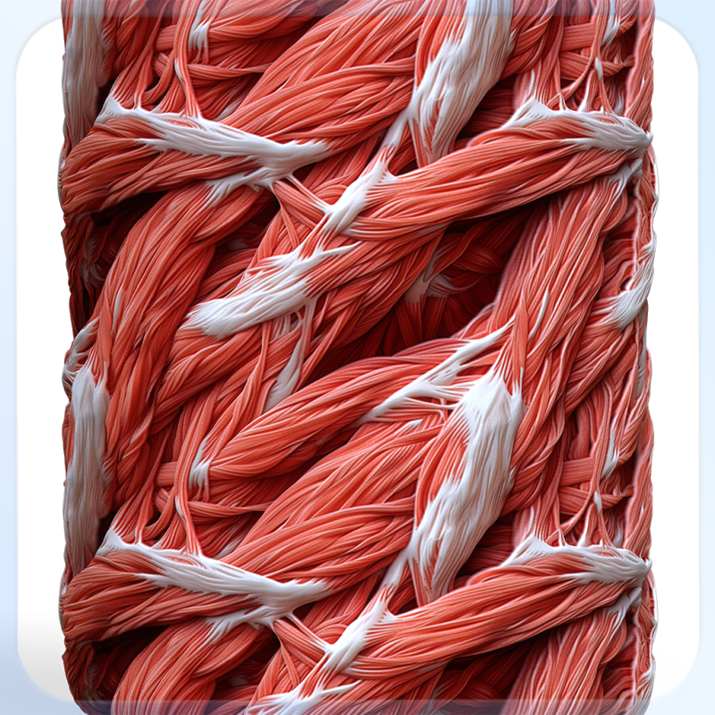 Anatomy Seamless Texture CG Textures in Autre 3DExport