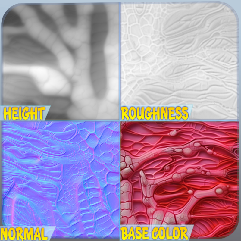 Anatomy Seamless Texture CG Textures in Autre 3DExport