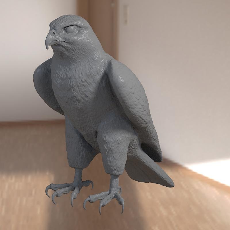 Falcon bird basic shape 3D Model in Bird 3DExport