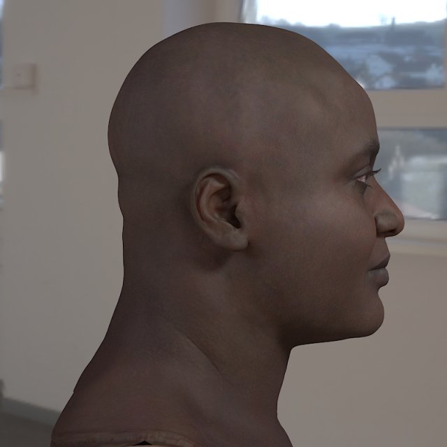 Joseph head male 3D Model in Man 3DExport