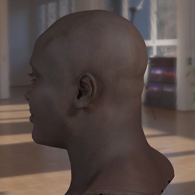 Joseph head male 3D Model in Man 3DExport