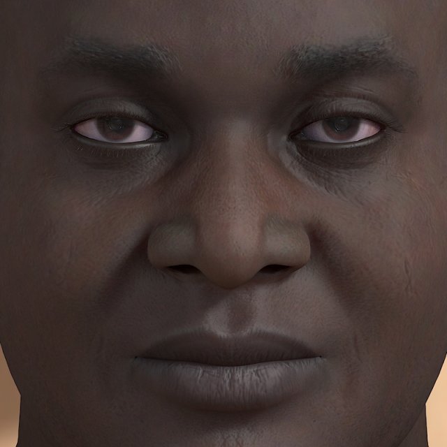 Joseph head male 3D Model in Man 3DExport