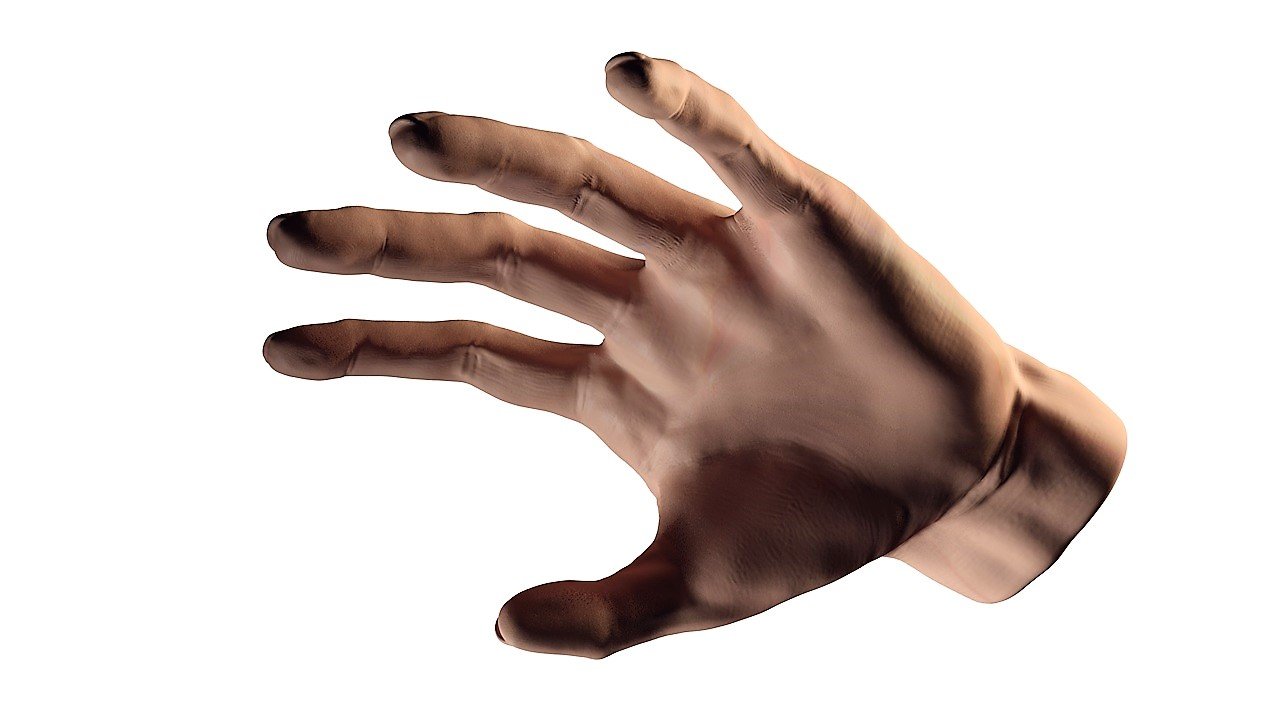 3d Hand Model Free Download