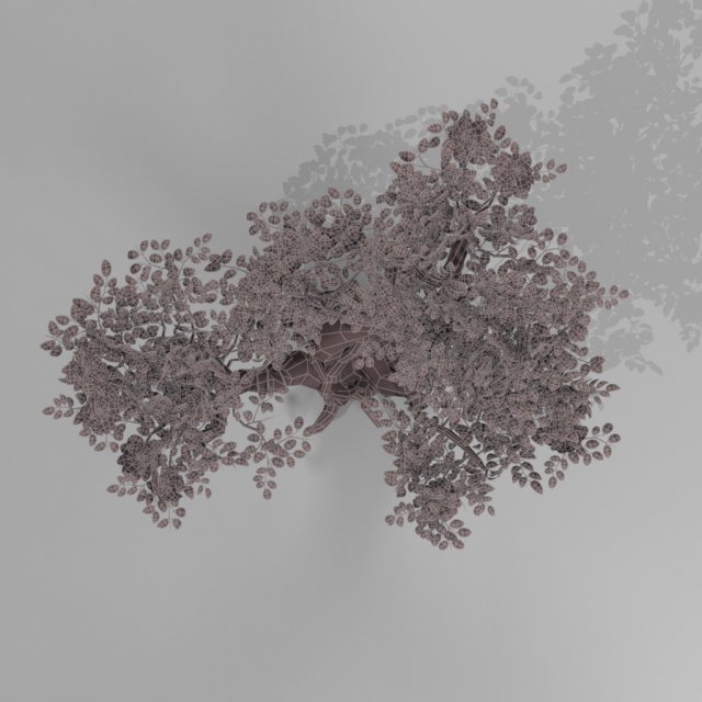 tree set 2 3D Model in Tree 3DExport