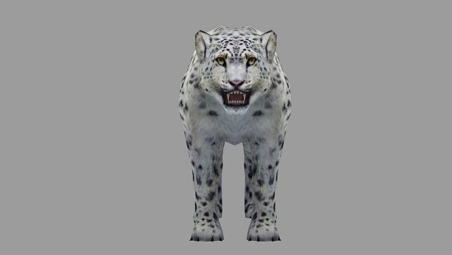 snow leopard rigged animated 3D Model in Wildlife 3DExport