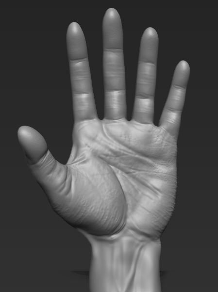 Hand Reference For 3d Modeling