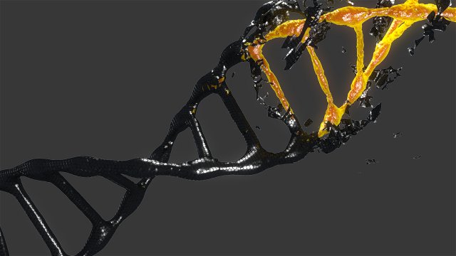 dnk 3D Model in Special Effects 3DExport