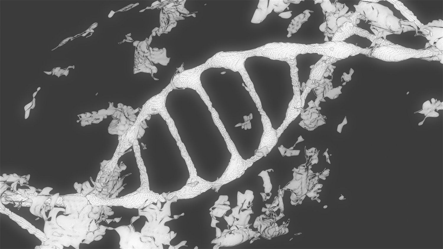 dnk 3D Model in Special Effects 3DExport