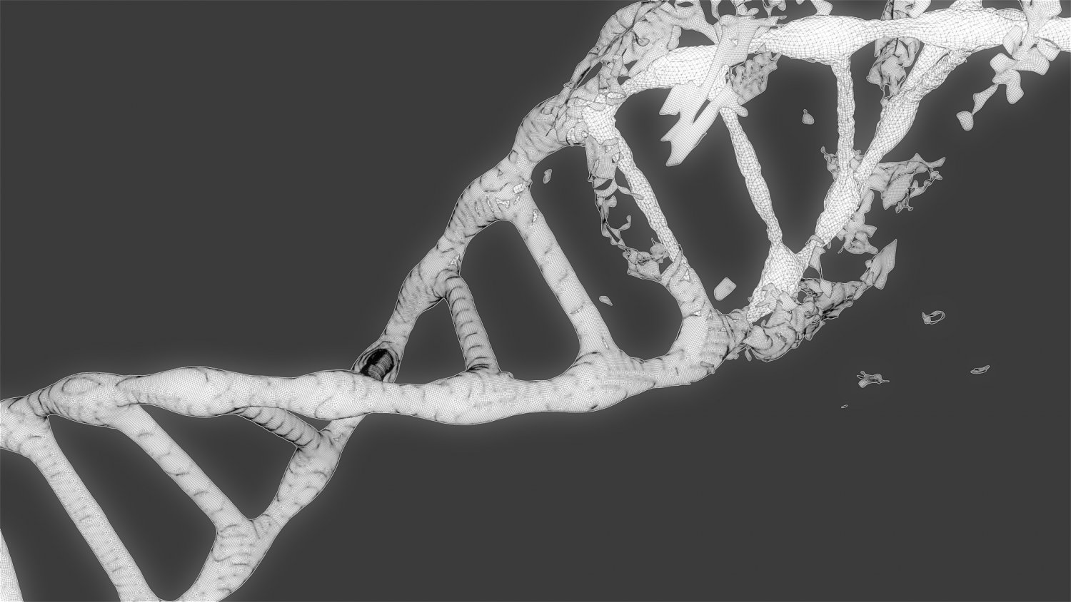 dnk 3D Model in Special Effects 3DExport
