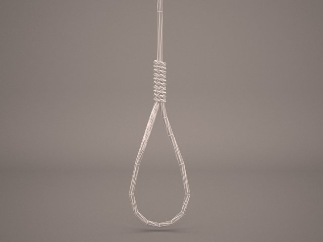 noose 3D Model in Miscellaneous 3DExport