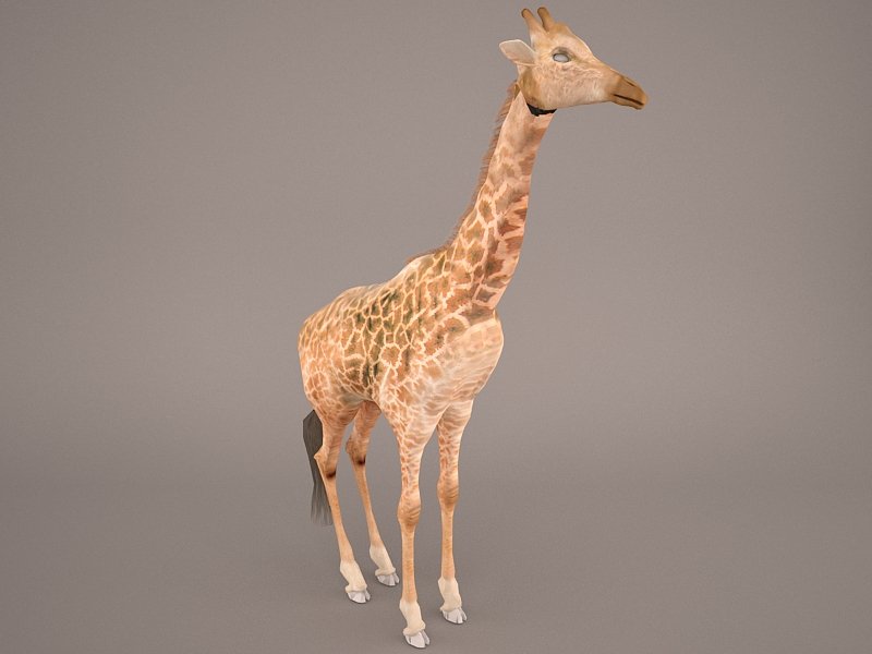 Giraffe 3D Model in Other 3DExport