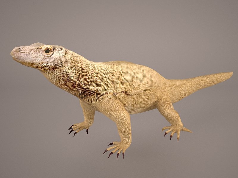 Komodo Dragon 3D Model in Dinosaur 3DExport