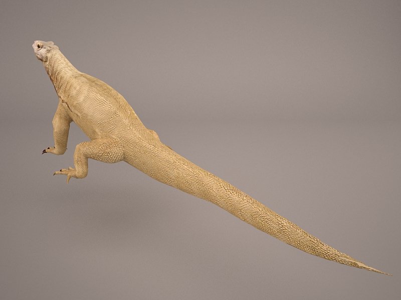 Komodo Dragon 3D Model in Dinosaur 3DExport