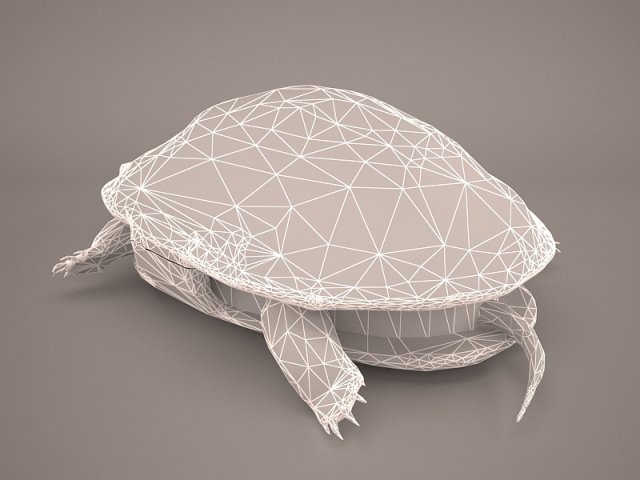turtle 3D Model in Other 3DExport