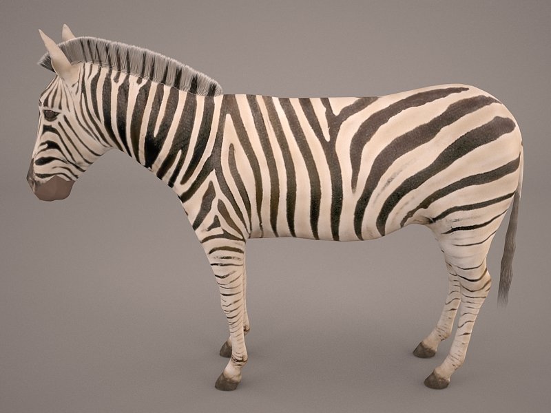 Zebra 3D Model in Other 3DExport