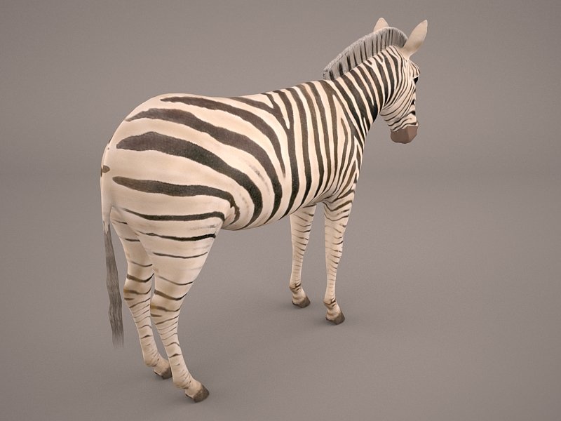 Zebra 3D Model in Other 3DExport