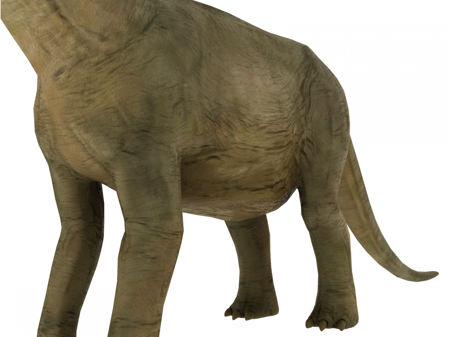 Brontosaurus 3D Model in Dinosaur 3DExport
