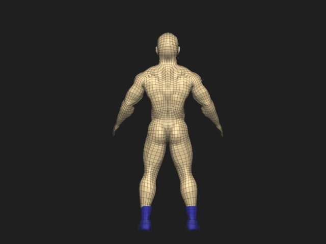 Boy bodybuilder 3D Model in Anatomy 3DExport