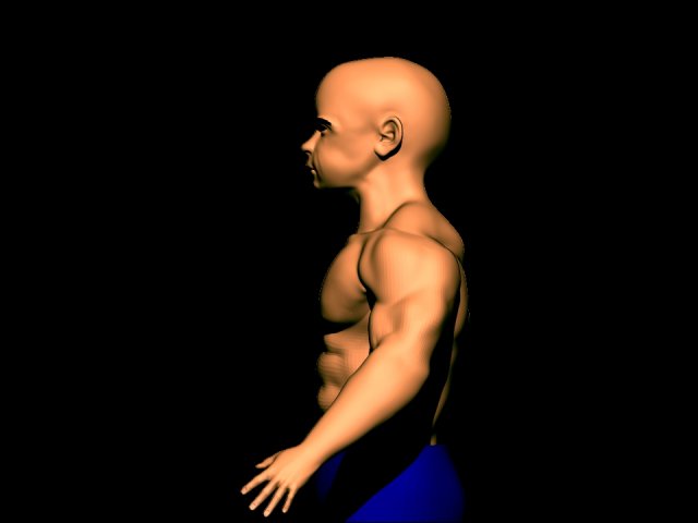 Boy bodybuilder 3D Model in Anatomy 3DExport