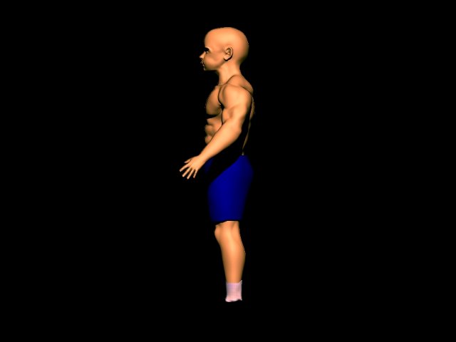 Boy bodybuilder 3D Model in Anatomy 3DExport
