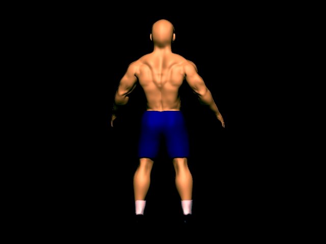 Boy bodybuilder 3D Model in Anatomy 3DExport