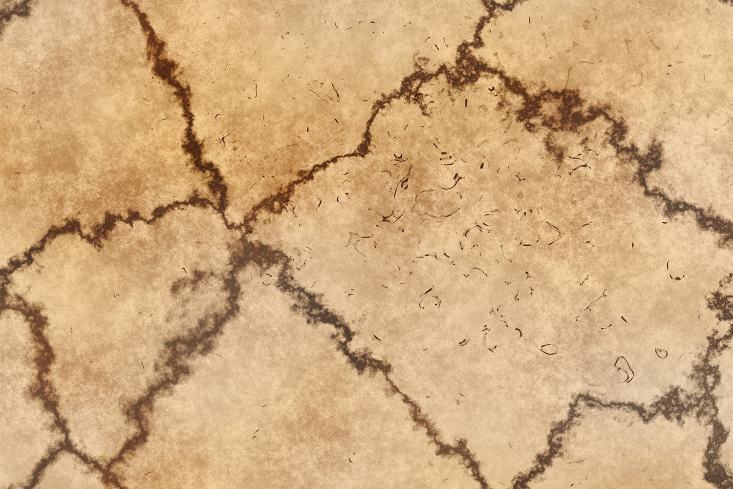 10 skull bone background textures CG Textures in 3D Textures 3DExport