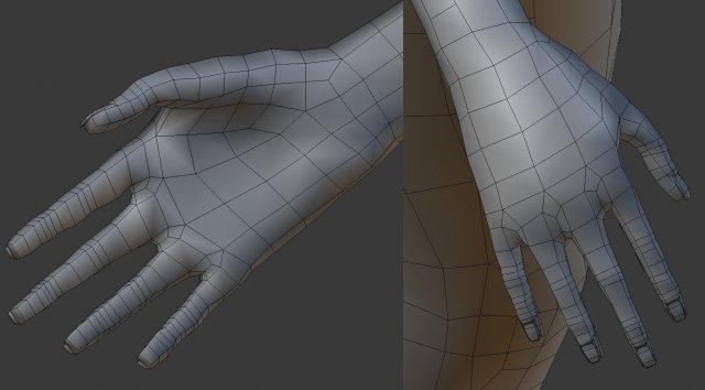 woman base 3D Model in Woman 3DExport