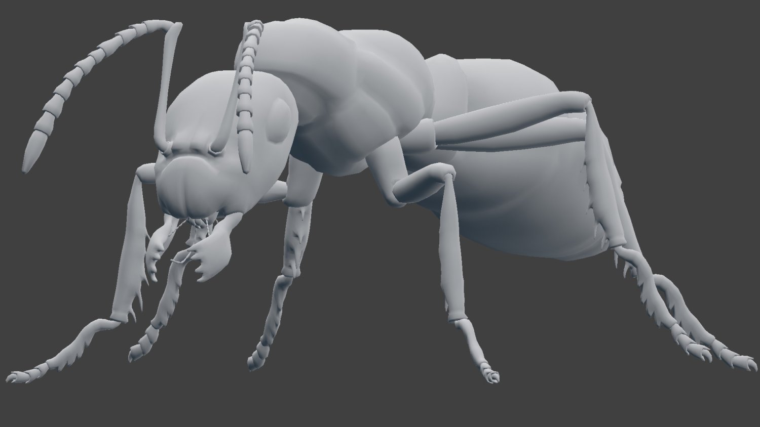 Ant Model 3D Model in Insects 3DExport