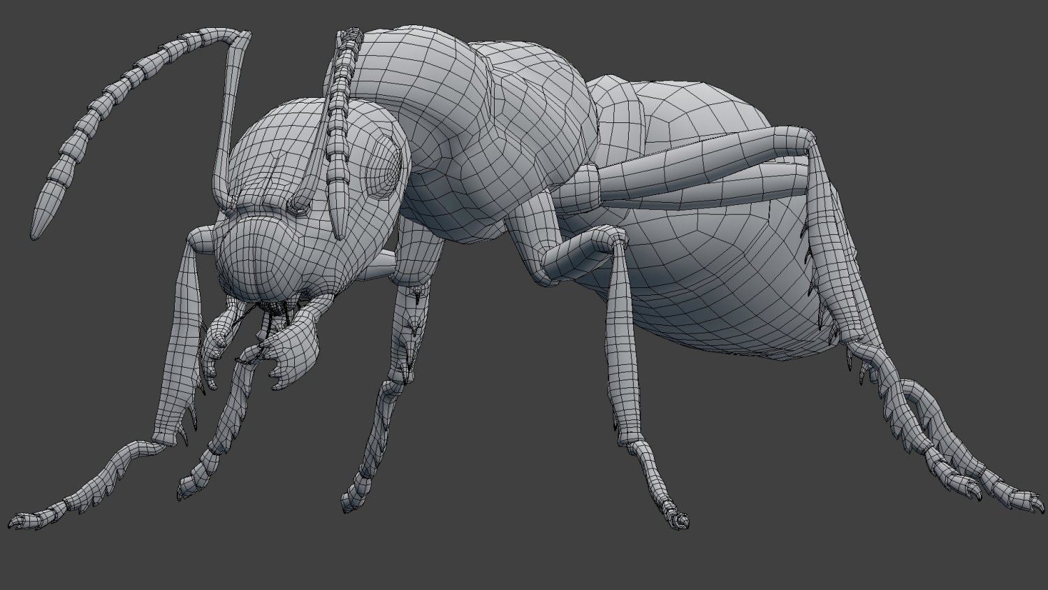 Ant Model 3D Model in Insects 3DExport