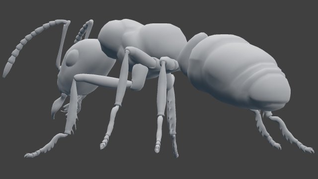 ant model 3D Model in Insects 3DExport