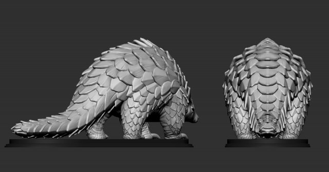 pangolin 3D Print Model in Animals 3DExport