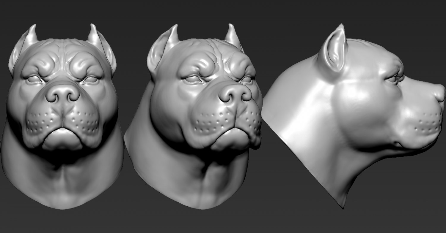 Pitbull Head 3D Model in Sculpture 3DExport
