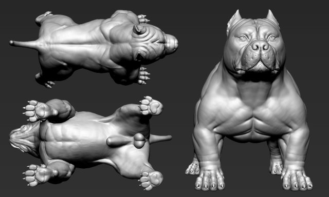 American Bully 3D Print Model in Animals 3DExport