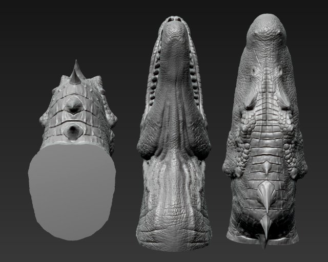Spinosaurus Head 3D Print Model in Monsters & Creatures 3DExport