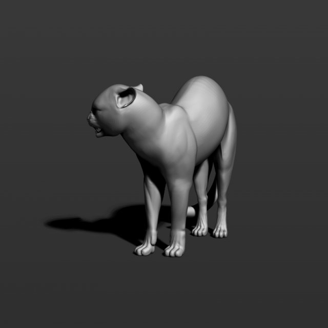 cat in 10 poses 3D Print Model in Animals 3DExport