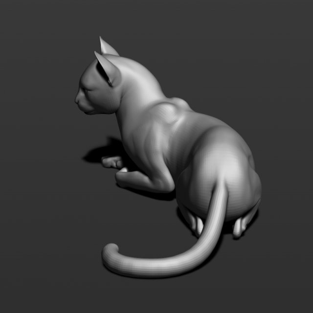 cat in 10 poses 3D Print Model in Animals 3DExport