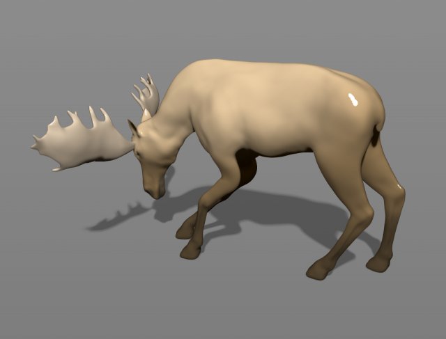 young moose 3D Print Model in Animals 3DExport