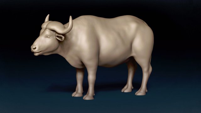 African Buffalo Base Mesh 3D Model in Other 3DExport