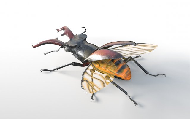 stag beetle pbr rigged low poly insect 3D Model in Insects 3DExport
