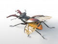stag beetle pbr rigged low poly insect 3D Models in Insects 3DExport