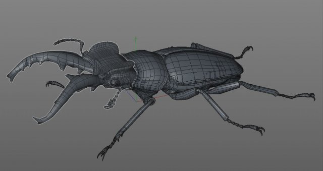 stag beetle pbr rigged low poly insect 3D Model in Insects 3DExport