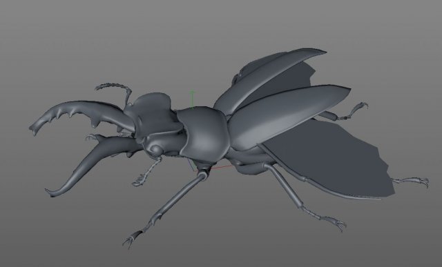 stag beetle pbr rigged low poly insect 3D Model in Insects 3DExport