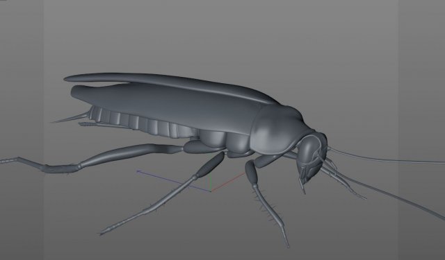 cockroach rigged pbr low poly insect 3D Model in Insects 3DExport