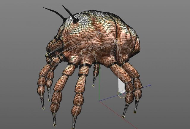 dust mite pbr rigged low poly insect 3D Model in Insects 3DExport